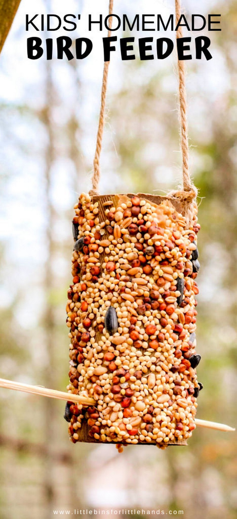 36 DIY Bird Feeder Plans For Make A Good Day - Susie Harris