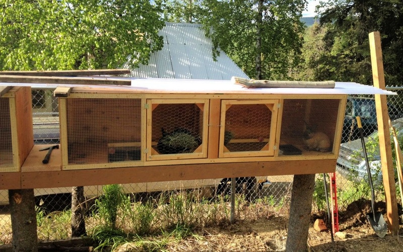 25 DIY Rabbit Cage Plans For Indoor And Outdoor - Susie Harris