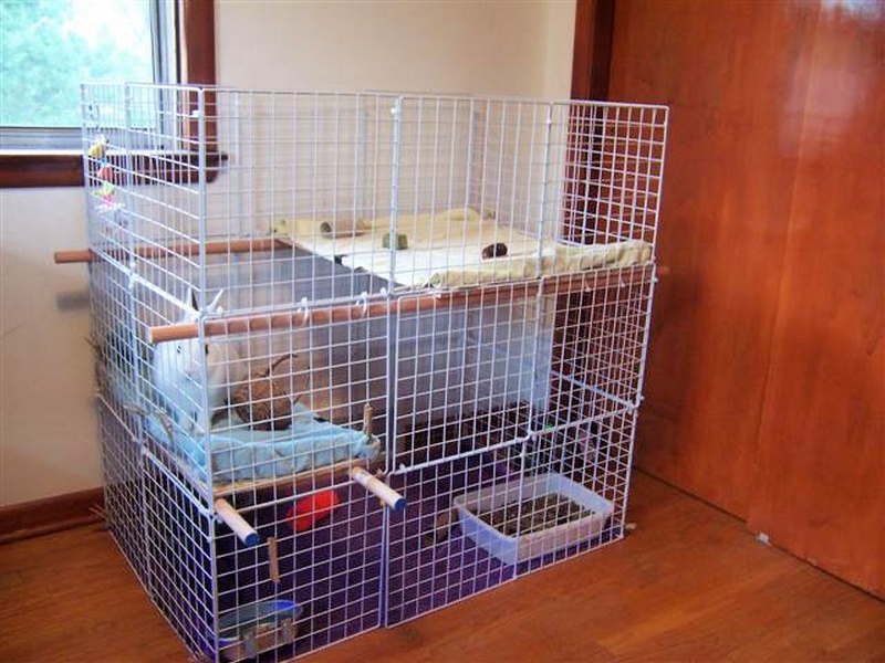 25 DIY Rabbit Cage Plans For Indoor And Outdoor - Susie Harris