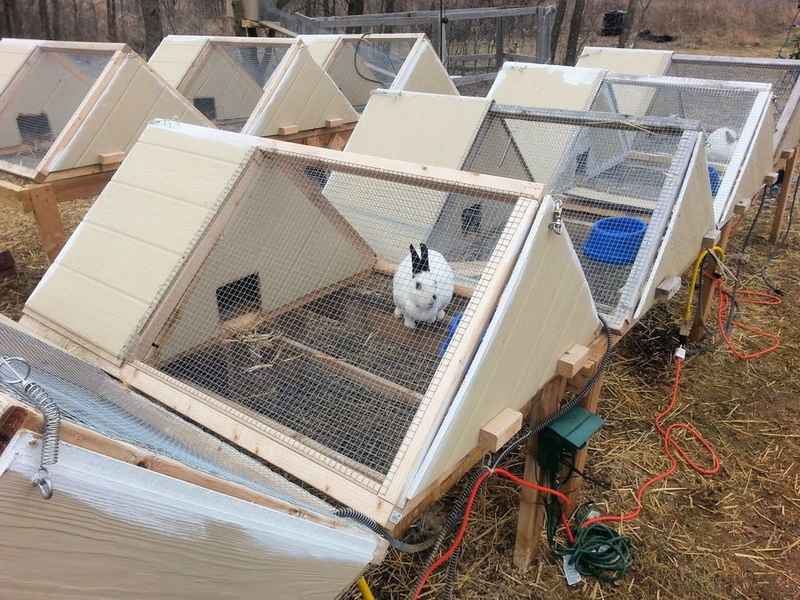 25 DIY Rabbit Cage Plans For Indoor And Outdoor - Susie Harris