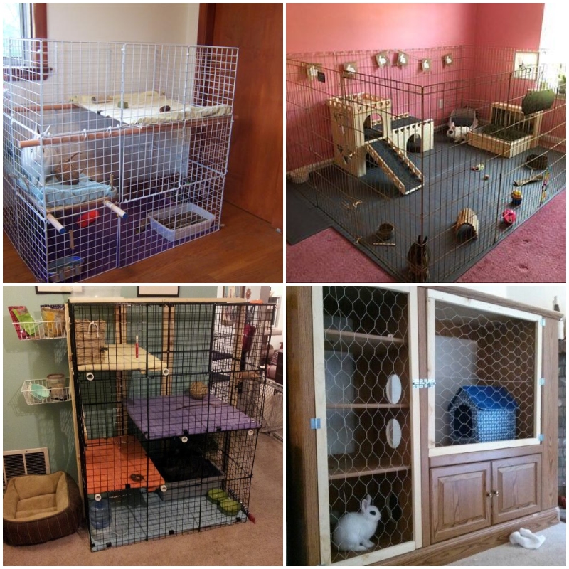 25 DIY Rabbit Cage Plans For Indoor And Outdoor - Susie Harris