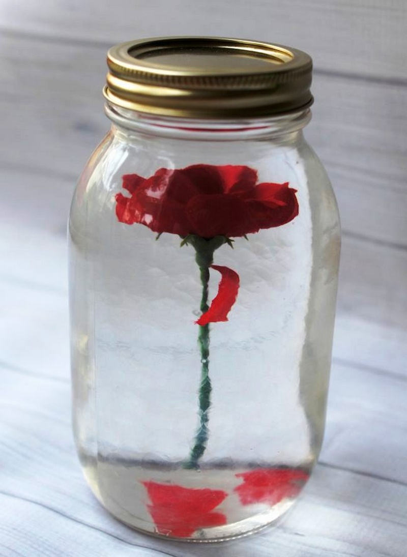 20 DIY Fall Rose Decor Ideas - Room Decoration - Susie Harris