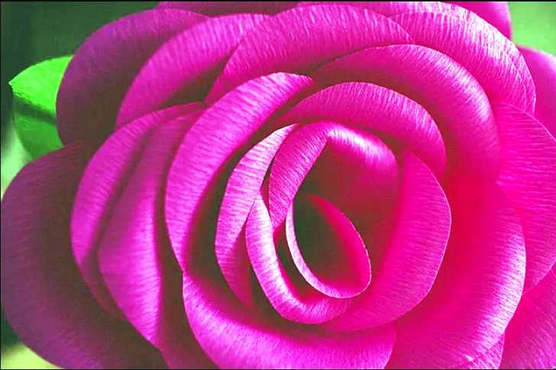 30 Easy DIY Paper Roses - Easy Paper Roses - Susie Harris