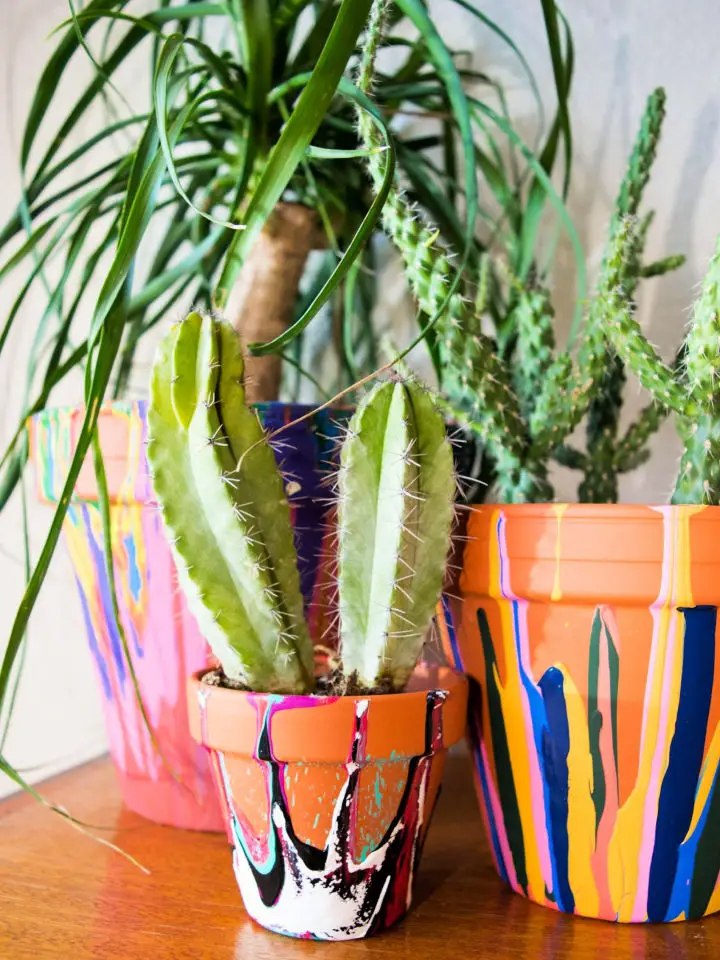 16 Small DIY Clay Pot Crafts For Beginners - Susie Harris