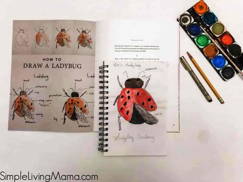 41 Notebook Ideas That Are Totally Creative - Susie Harris